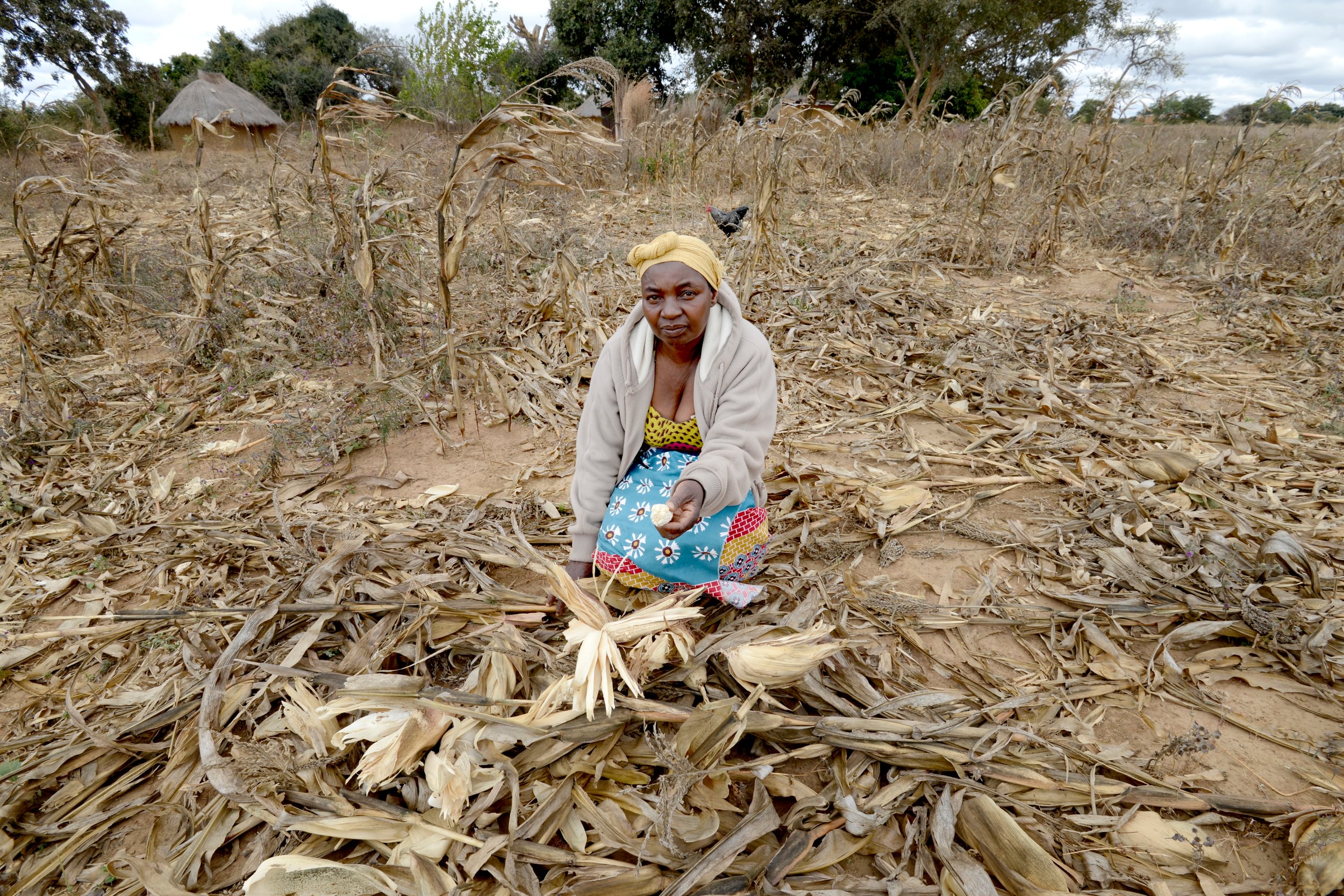 SCIAF’s Parliamentary Pledge | SCIAF